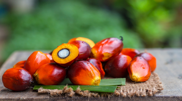 Why Karité Trusts Palm Oil – Karité Shea Butter